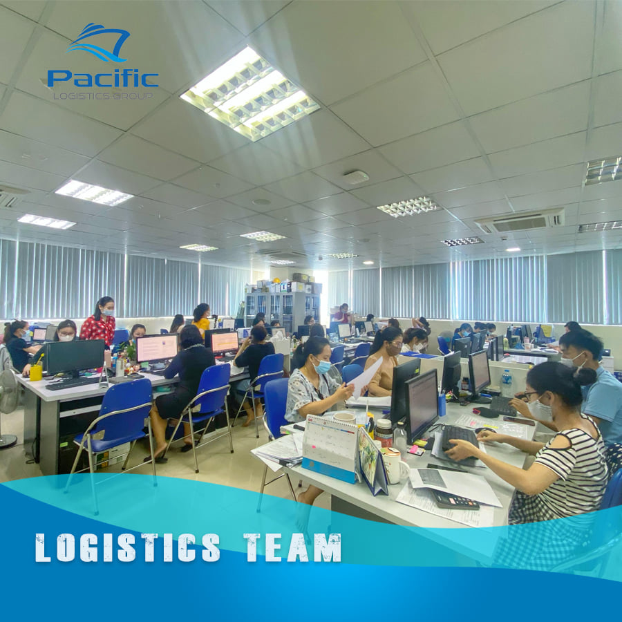 Quy trình xuất khẩu gạo bằng đường biển tại Pacific Logistics Group
